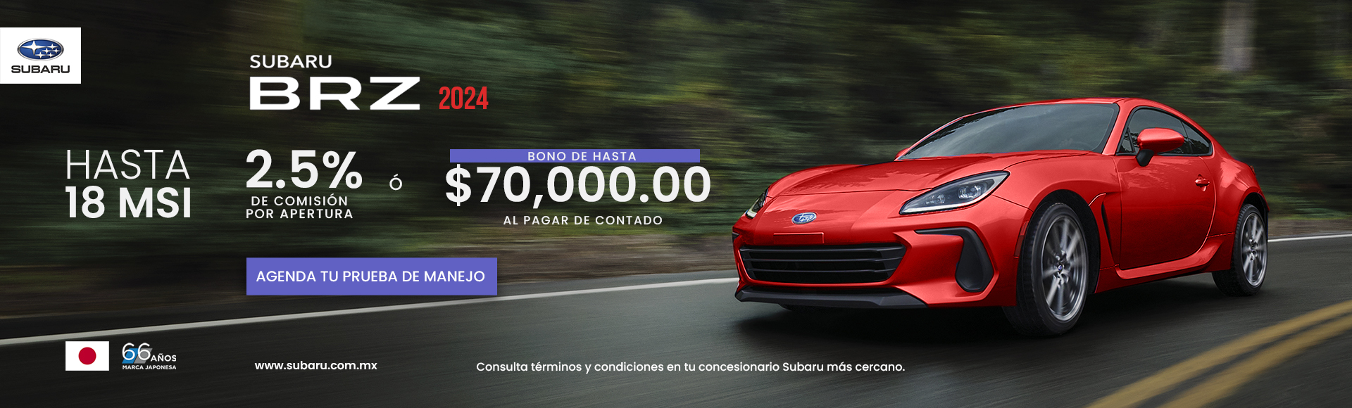 Distribuidor Autorizado, Subaru León